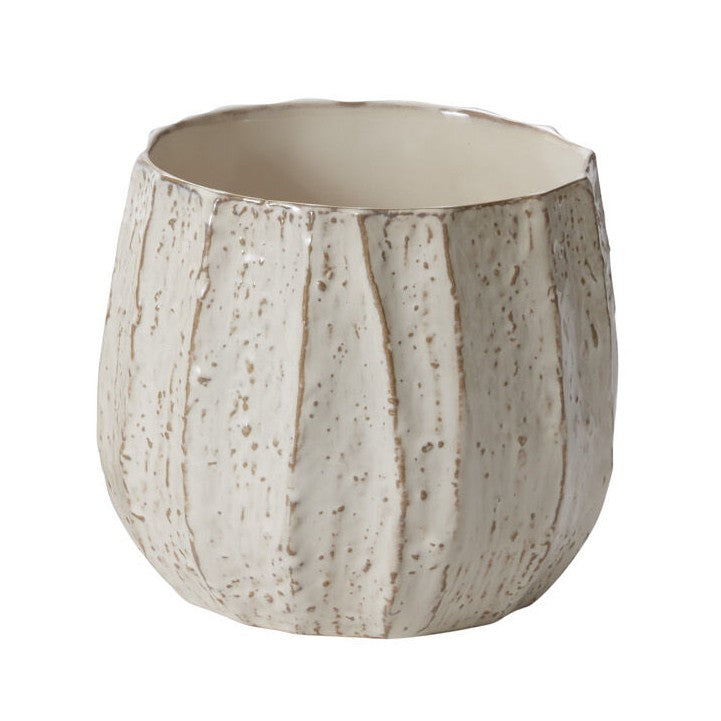 Beechwood Tree Bark Pot Planter – Salty Home